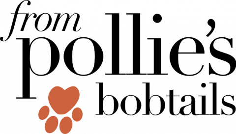 Geplande nestjes | From Pollies Bobtails